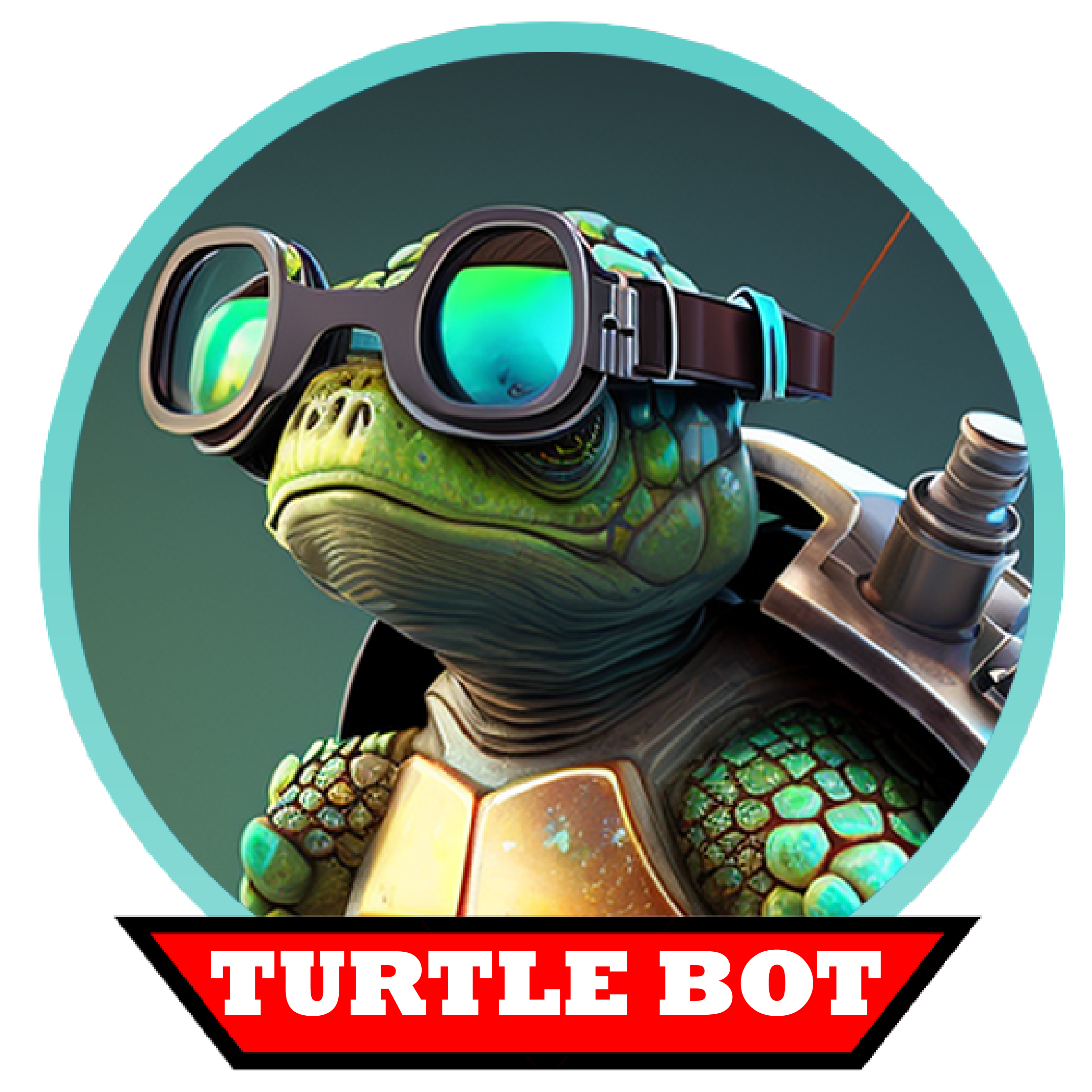 Turtle Bots
